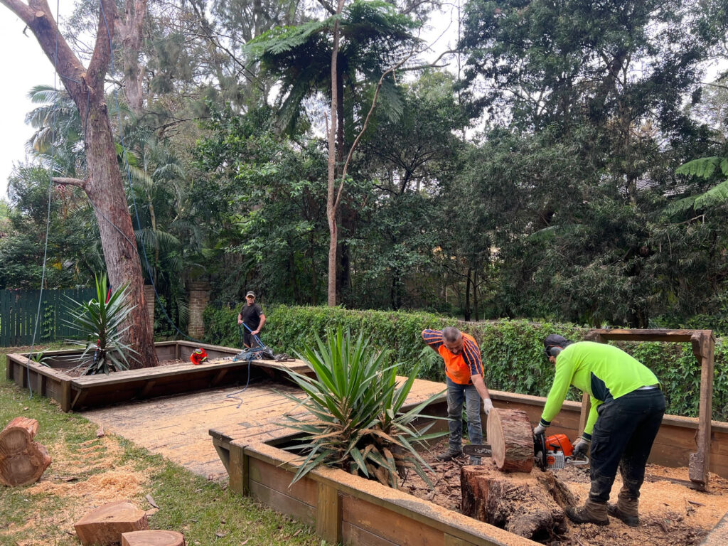 Tree Removal - Branches Tree Service